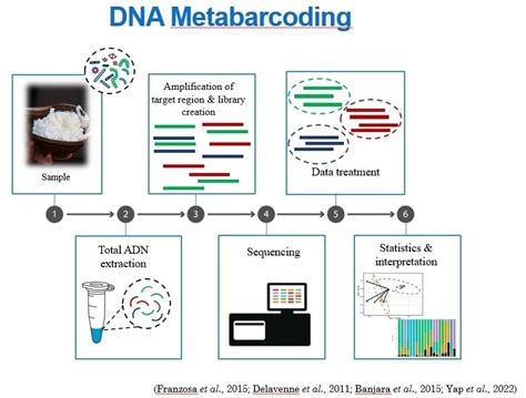 Reine Abi Khalil Phd Eng On Linkedin Community Database Metabarcoding Dna Sequencing