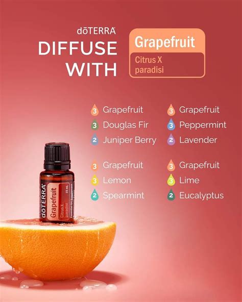 Diffuser Blends With Geranium Artofit