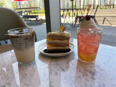 투썸 신메뉴 케이크 블루밍플라워 투썸플레이스 신메뉴 음료 네이버 블로그