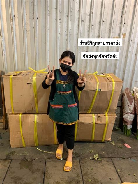 ร้านสิริดอกกุหลาบราคาส่ง🌹🌹🌹 ร้านสิริ สวนสิริ ดอกกุหลาบ ที่ร้านปลูกเอง ขายเองจ้า🌹🌹🌹🌹ตัดสดๆๆ