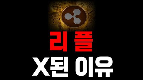 리플뒤에 고래들이 있었네요 Youtube