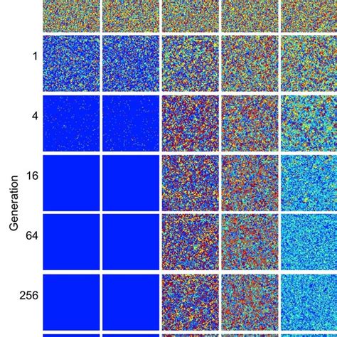 One Iteration Of The Cellular Automaton Model For Species For Each Of Download Scientific