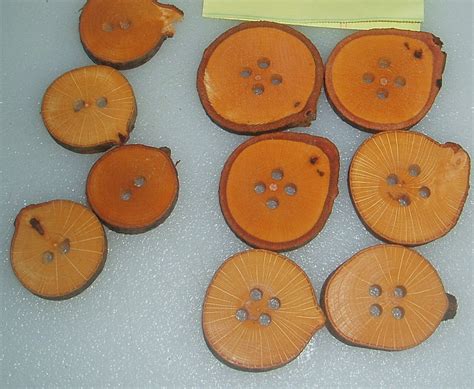 10 Handmade Tree Branch Buttons 6 Med Large 4 Small Etsy