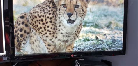 Raspberry Pi Diy Projectswebarticleshow To Display Images On Raspbian Command Line With Fbi