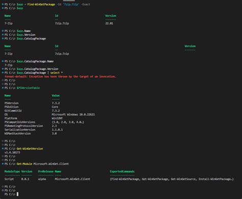 can t get properties out of the object find wingetpackage returns