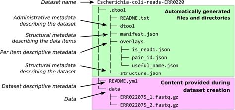 Dataset Structure Dataset Representation On File System The User