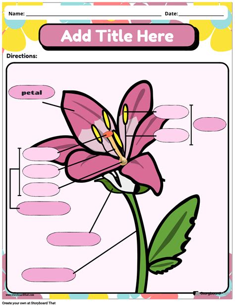 Label The Parts Of A Simple Leaf Plants Worksheet