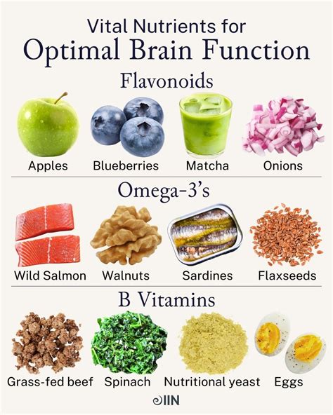 Nutrient For Brain Function Nutrition Health Food Personalized Nutrition