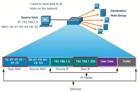 Ccna 1 V7 0 Curriculum Module 7 Ethernet Switching