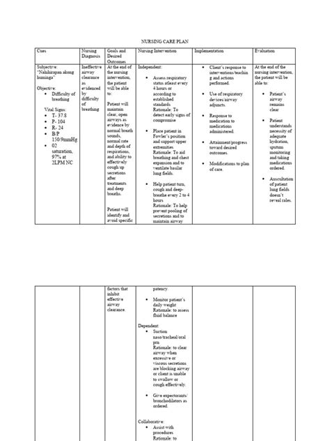 Pulmo Nursing Care Plan Pdf Respiratory Tract Breathing