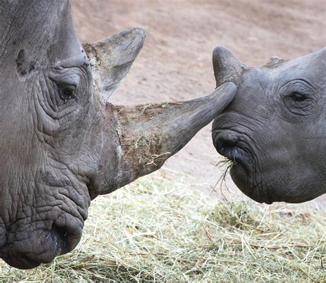 Playbac Presse Digital Journaux Jeunesse Le Petit Quotidien Mon