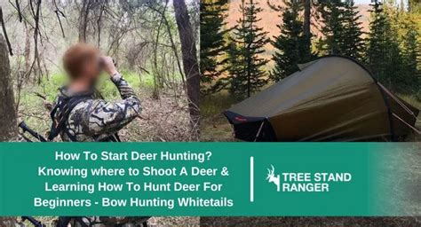 How To Start Deer Hunting 2024 Learning Whitetail Deer Bow Hunt