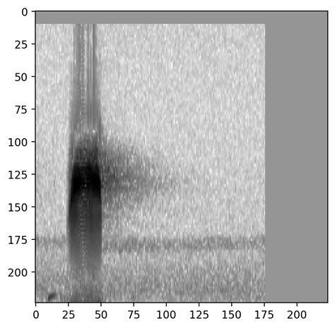Preprocess Audio Samples — Opensoundscape 0120 Documentation