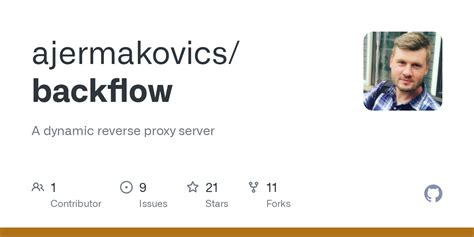 Github Ajermakovicsbackflow A Dynamic Reverse Proxy Server