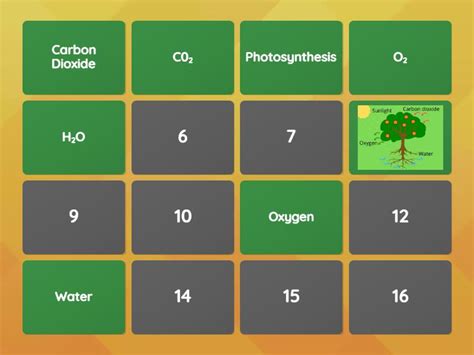 Photosynthesis Matching Pairs