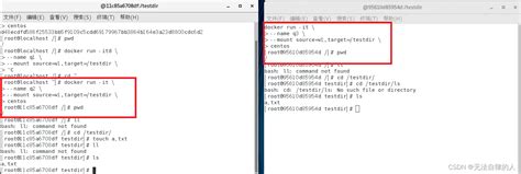 【docker】数据管理之数据卷的挂载数据卷挂载 Csdn博客