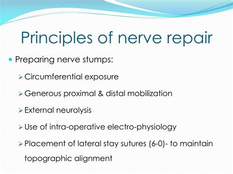 Ppt Surgical Principles Of Peripheral Nerve Repair Powerpoint