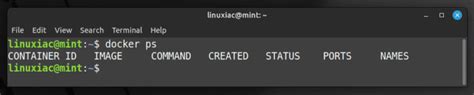How To Install Docker On Linux Mint A Step By Step Guide