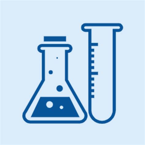 Dh10b 感受态细胞
