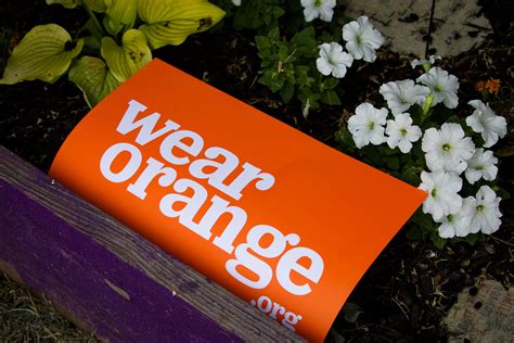 Wear Orange Cpted 2023 Projects—one Year Later Everytown Support Fund