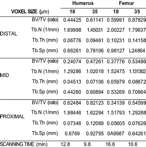 Results Of Trabecular Bone Parameters At Different Bone Regions Using Download Scientific