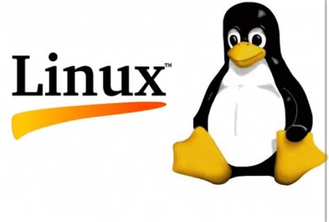 Linux From Scratch Training Lxc Operating Systems Linux Logo