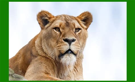 What Are The Risks Of Quantum Computing To Classical Encryption