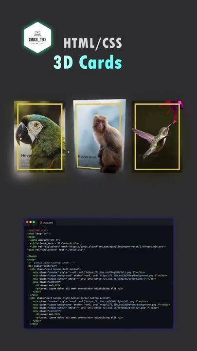3d Card Using Html And Css Webdevelopment Coding Webdesign Learning Makemoneyonline