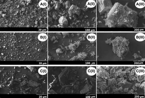 Scanning Electron Micrographs Of The Samples A β Cyclodextrin B Download Scientific Diagram
