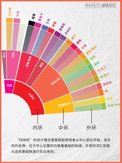 咖啡知识·什么是咖啡风味轮？ta有哪些风味？如何观察以及如何使用它？ 哔哩哔哩