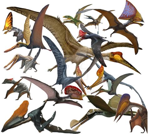 Pterosaurs By Atrox1 On Deviantart