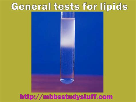 General Tests For Lipids Medical Study Zone