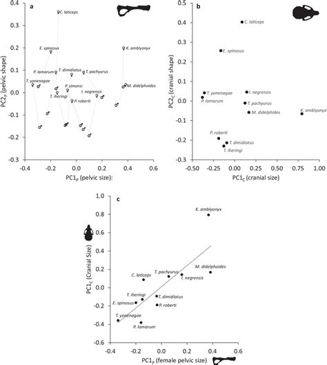 Principal Component Analysis For Pelvic Pcap And Cranial Pcac Download Scientific Diagram