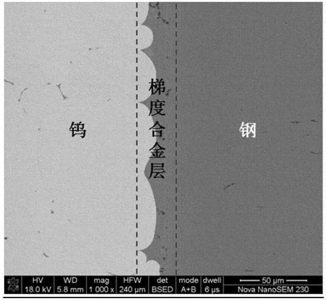 一种基于钨表面梯度合金化的钨 钢扩散连接方法与流程 2
