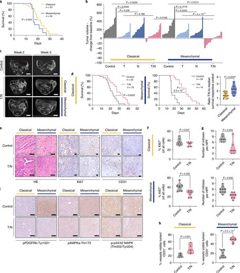 The Combination Treatment Prolongs Survival And Reprograms The Tme In Download Scientific