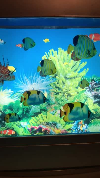 suraj shaw posted on linkedin