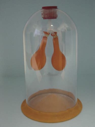 Lung Demonstration Model Orme