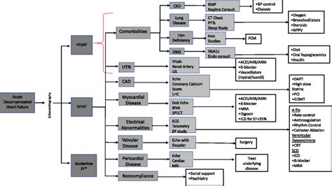 Eight Axis Algorithm For Managing Adhf Hfpef Heart Failure With Eight Axis Algorithm For Managing Adhf Hfpef Heart Failure With