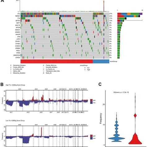 Genetic Landscape Analysis Of Mutation And Copy Number Variation Cnv Download Scientific