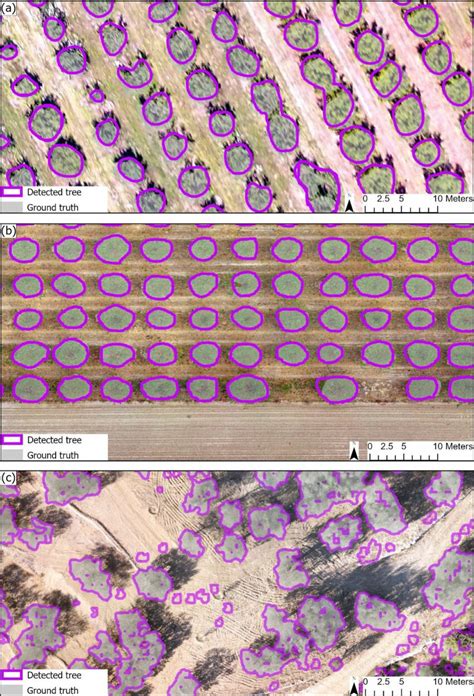 Trees Detection Using Mask R Cnn Deep Learning Algorithm A Site No 1
