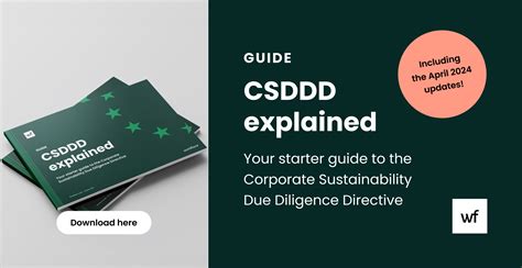 The Eus Corporate Sustainability Due Diligence Csddd
