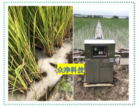 微纳米富氢水植物灌溉中的作用 上海众净环保科技有限公司