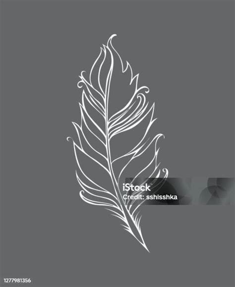 회색 배경에 분리된 깃털입니다 벡터 그림입니다 흰색 줄 지어 드로잉 깃털펜에 대한 스톡 벡터 아트 및 기타 이미지 깃털펜 필기용 잉크 가벼운 Istock