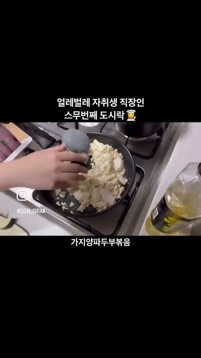 얼레벌레 스무번째 도시락👩‍🍳 자취생 자취생요리브이로그 자취생집밥 직장인 점심도시락 직장인도시락 도시락 간단요리