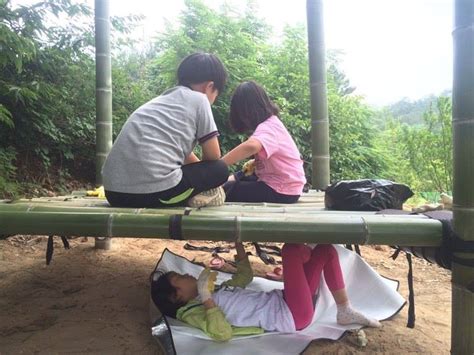 대전자유발도르프학교 34학년 아이들이 집짓기 수업 때 지은 대나무 원두막 입니다 아이들의 좋은