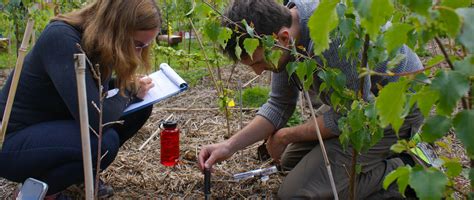 Onderzoek Tiny Forest