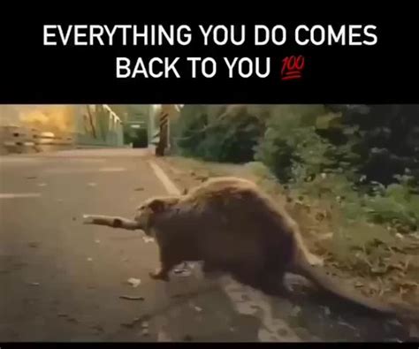 ansh bhatnagar on linkedin karma good bad positive god lesson