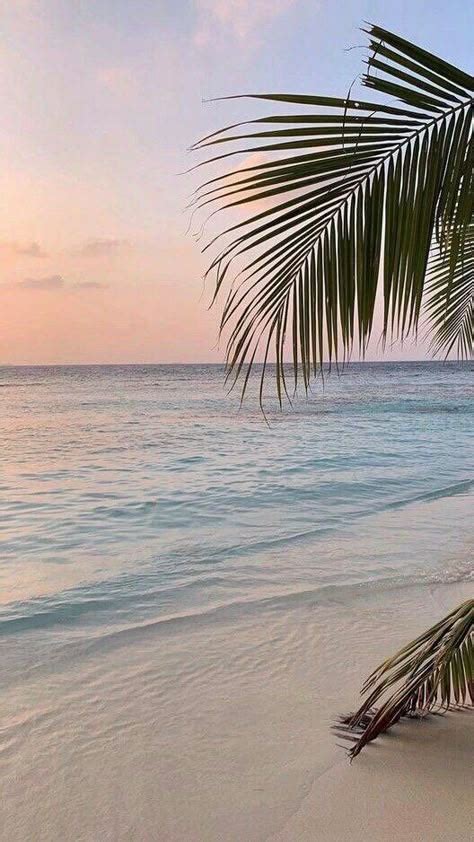 50 Aesthtic Iphone Wallpapers That You Must See Cute Summer