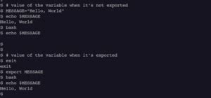 How To Use Variables In Bash Script Simple Guide LinuxBuzz
