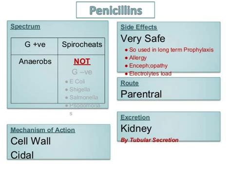 Solution Antibiotics Notes Medical Nursing Studypool